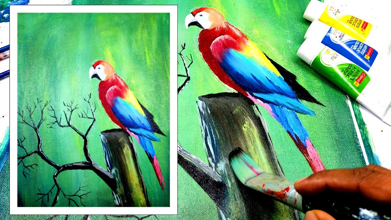 macaw parrot drawing easy acrylic paint-for beginners-noushi's art ...