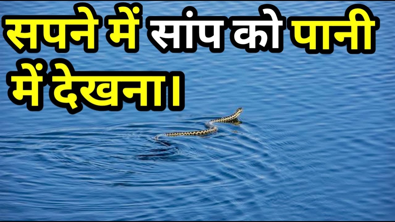 सपने में सांप को पानी में देखना।Sapne me pani me saap Dekhna। seeing ...