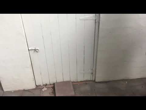 We found the real life ghost of Logan Paul (NOT CLICKBAIT)!!!