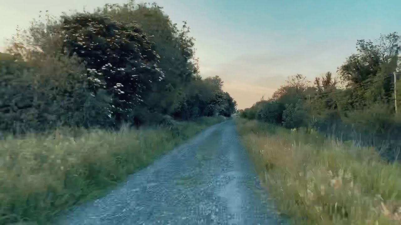 Evening Nature Walk!🤩 - YouTube