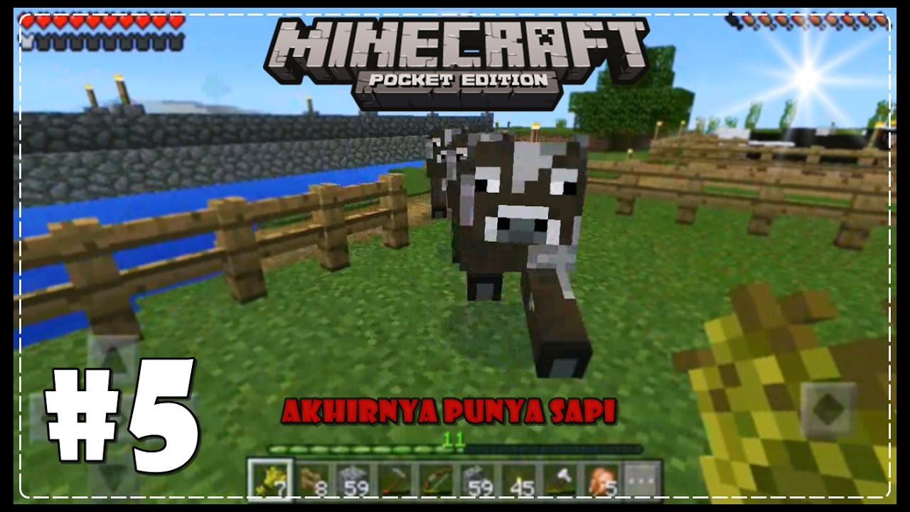 ZENMATHO SERIES MCPE EPS 5 - MEMELIHARA SAPI! - YouTube