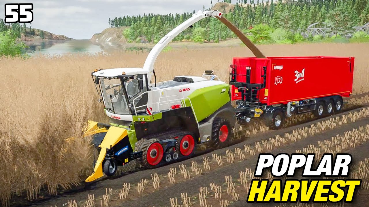 HOW MUCH WILL WE MAKE? POPLAR HARVEST | FS22 Platinum Edition - Episode ...