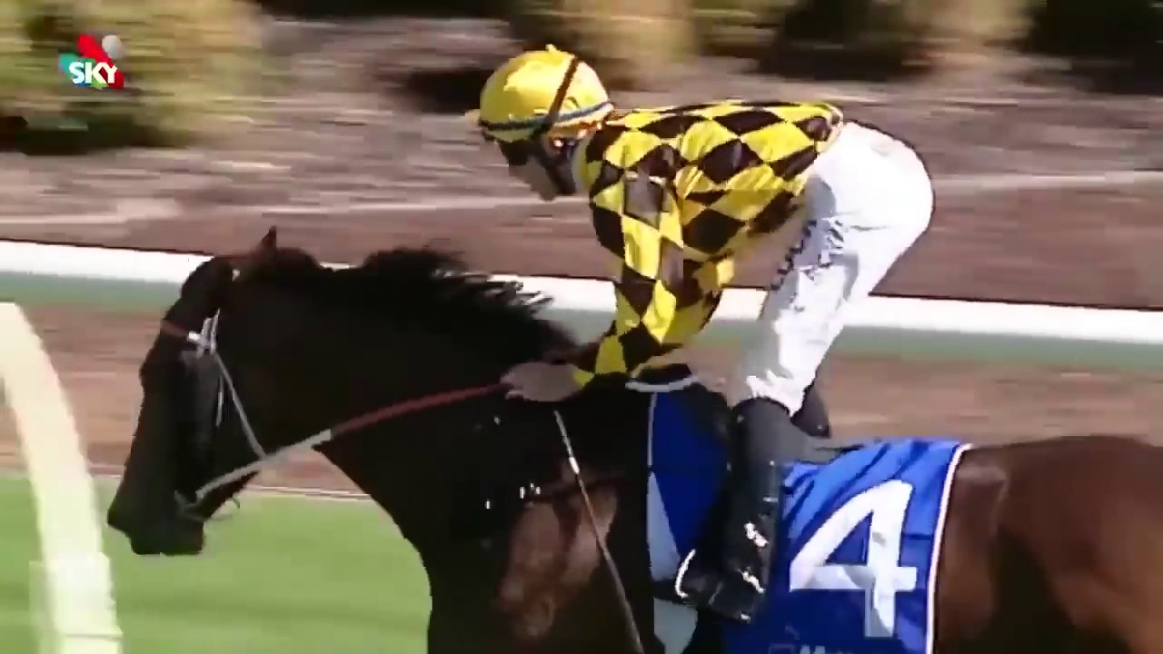 sharvali chaexada jiritis dros, gamoiweret es arxi qartli tv - YouTube