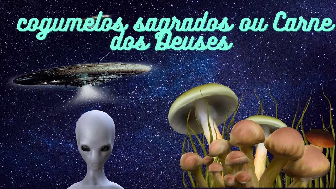 Cogumelos Mágicos, (Psilocybe Cubensis) - YouTube