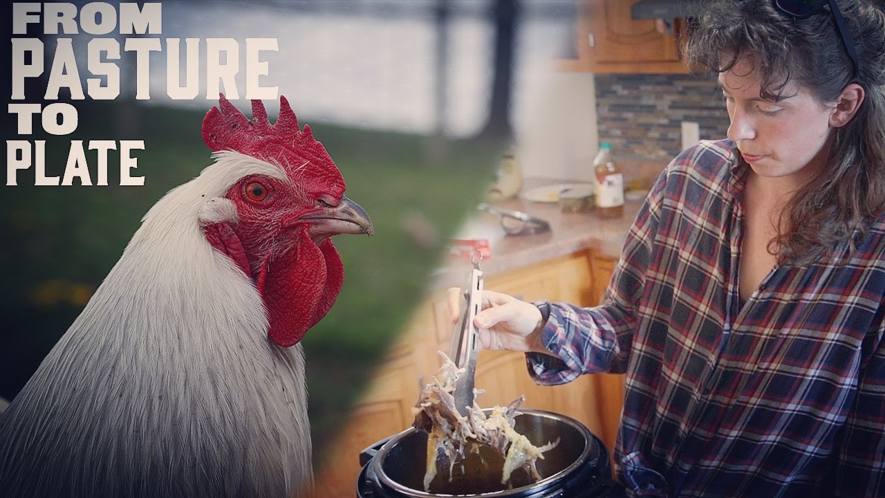 STEP BY STEP - TAKING A CHICKEN from PASTURE TO PLATE - YouTube