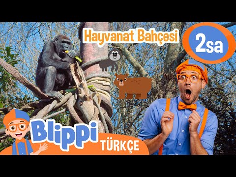 Blippi ile Hayvanat Bahçesi Gezisi! 🦁🐒 | Blippi Türkçe - Çocuklar için Eğitici Videolar