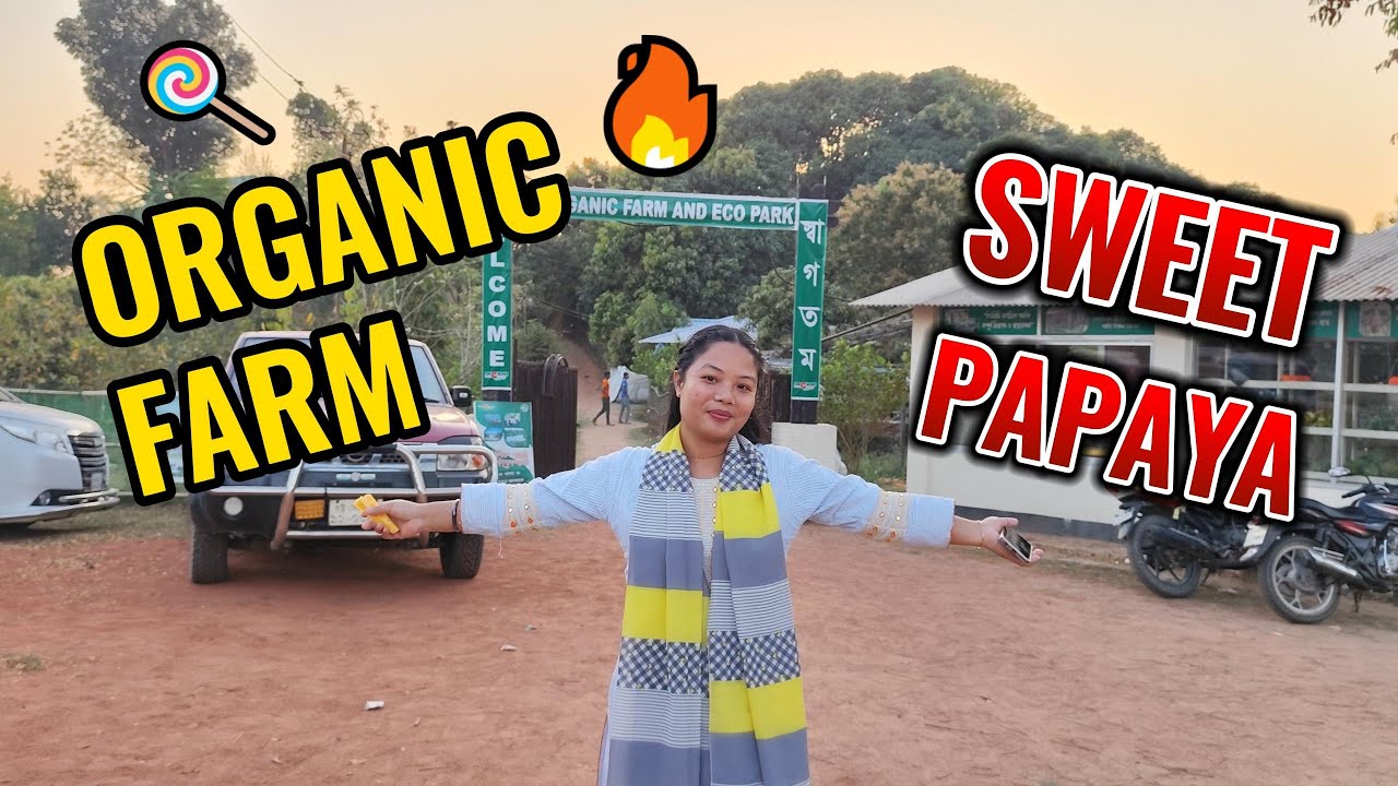 Organic Garden | Pahartali Chittagong - YouTube