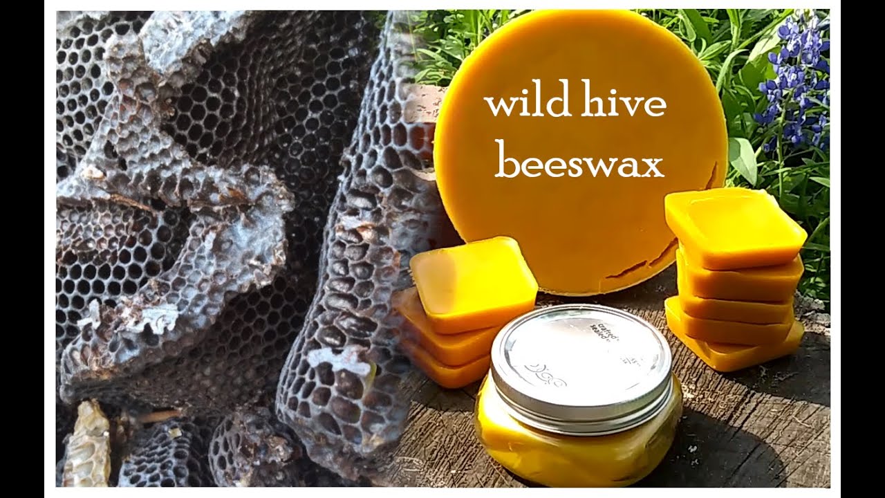 Wild hive beeswax - YouTube
