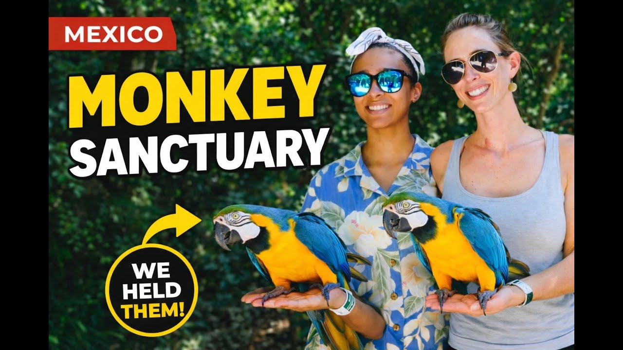 Akumal Monkey Sanctuary - Holding Monkeys & Parrots in Mexico - YouTube