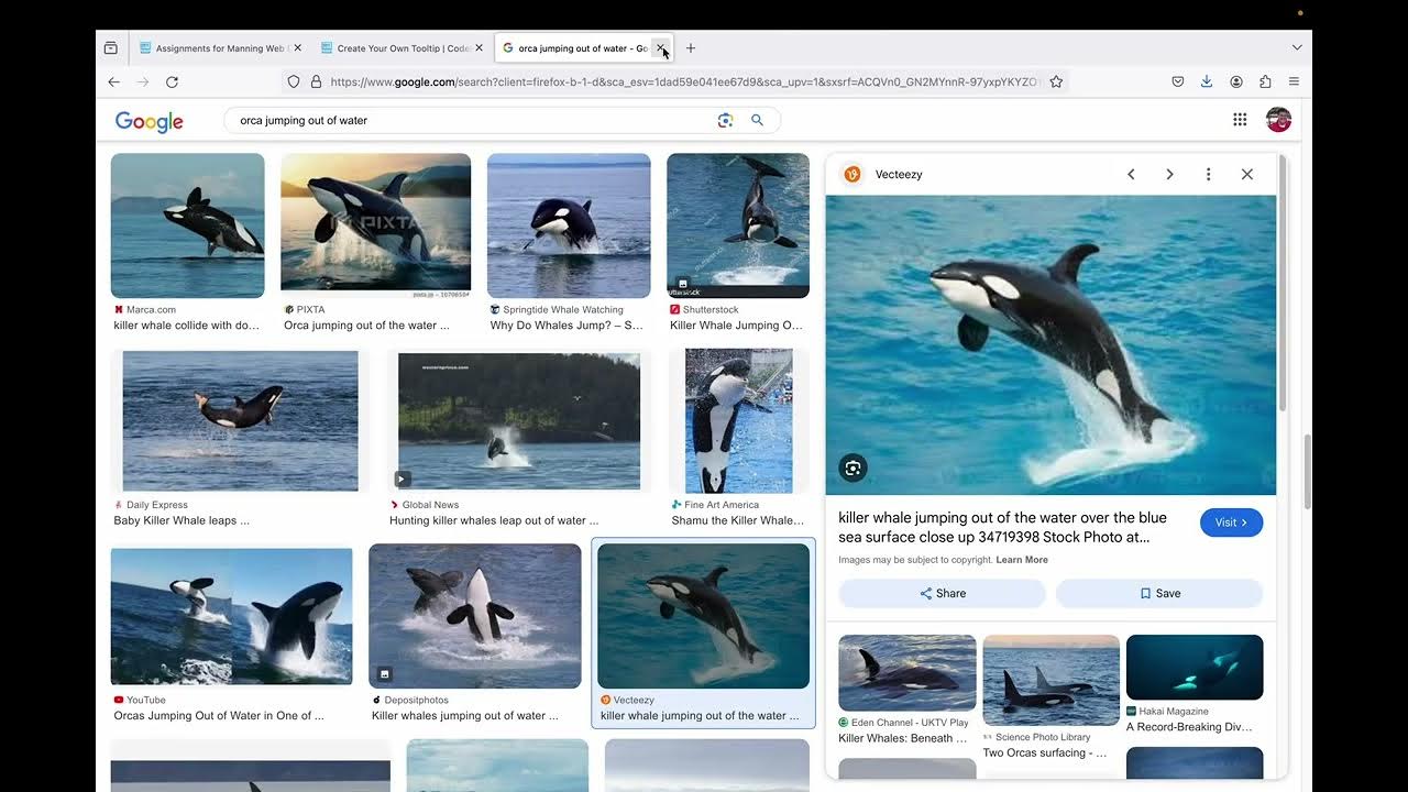 CodeHS (Monet) Advanced Web Design 5.16 | Interaction - YouTube