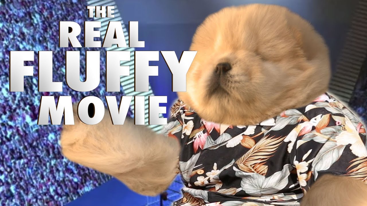 THE FLUFFY MOVIE (Chow Puppy Parody) - THE REAL FLUFFY MOVIE - YouTube