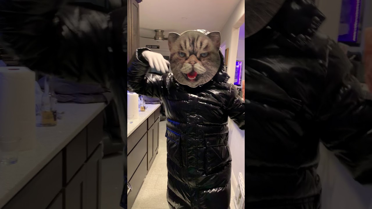 Cat man dance - YouTube