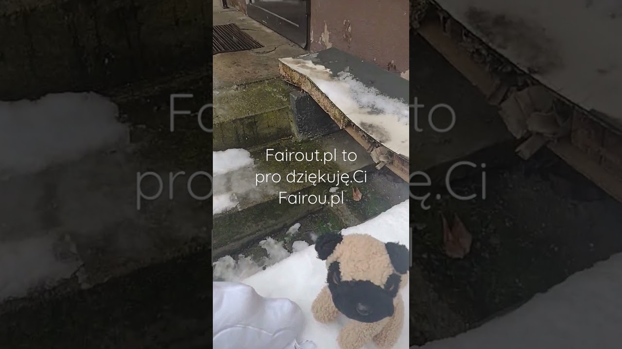 Fairout.pl😊 - YouTube