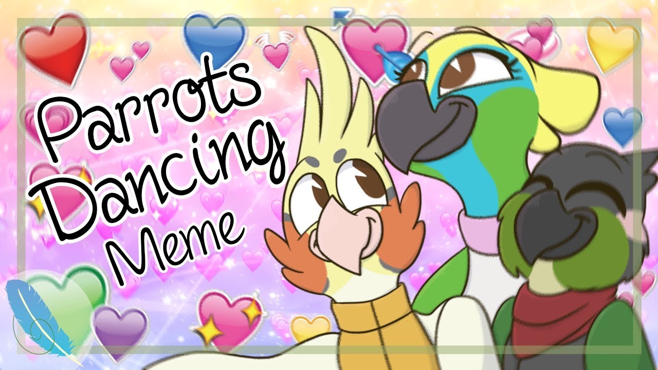 Wholesome Parrots Dancing Meme - YouTube