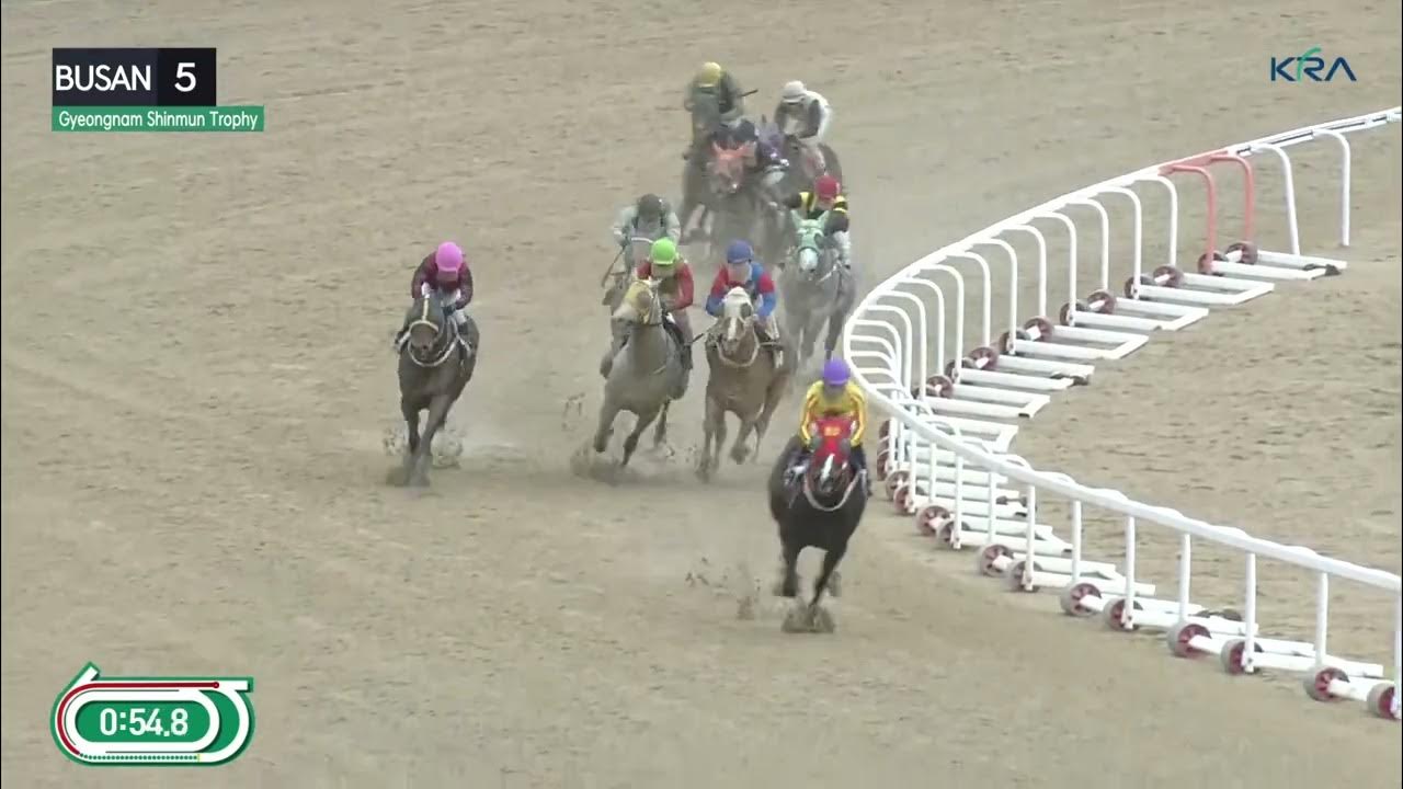 (Busan) 2024.02.25 R5 Class Open (1400M) Special Weight A / Gyeongnam Shinmun Trophy (L) - YouTube