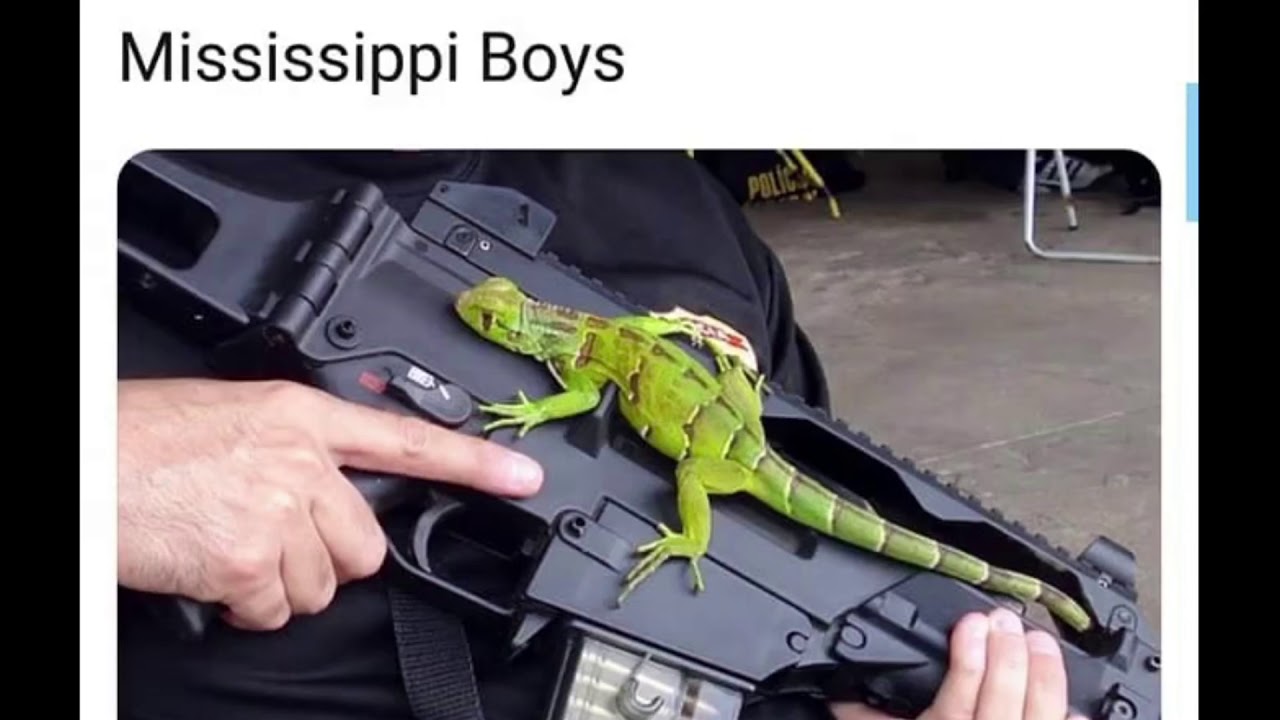 Lizzo’s “Boys” as Lizards: Enjoy - YouTube