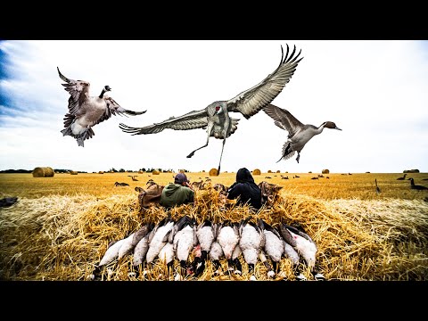 2 DAYS 2 MAN LIMITS! CRANE DUCKS AND GEESE!(Clean and Cook)