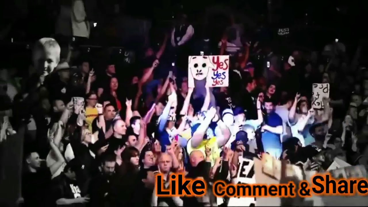 Roman vs Daniel Bryan fight Sean - YouTube