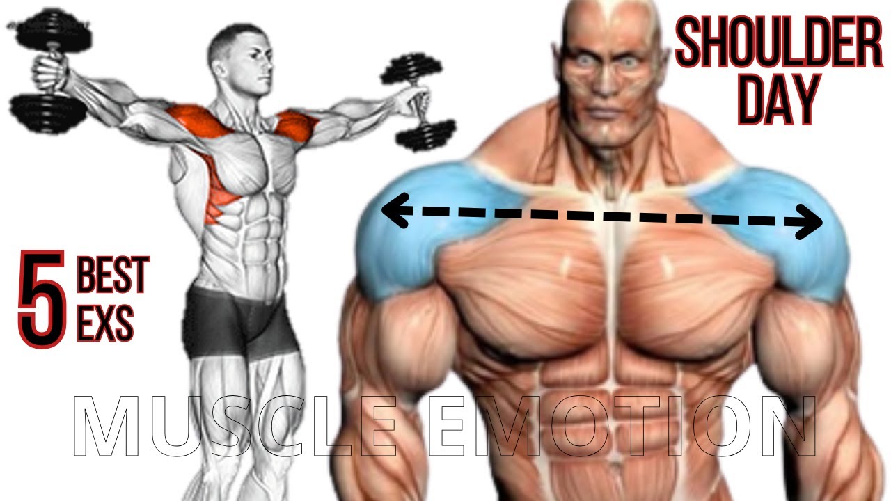 5 BEST SHOULDERS WORKOUT AT GYM - YouTube