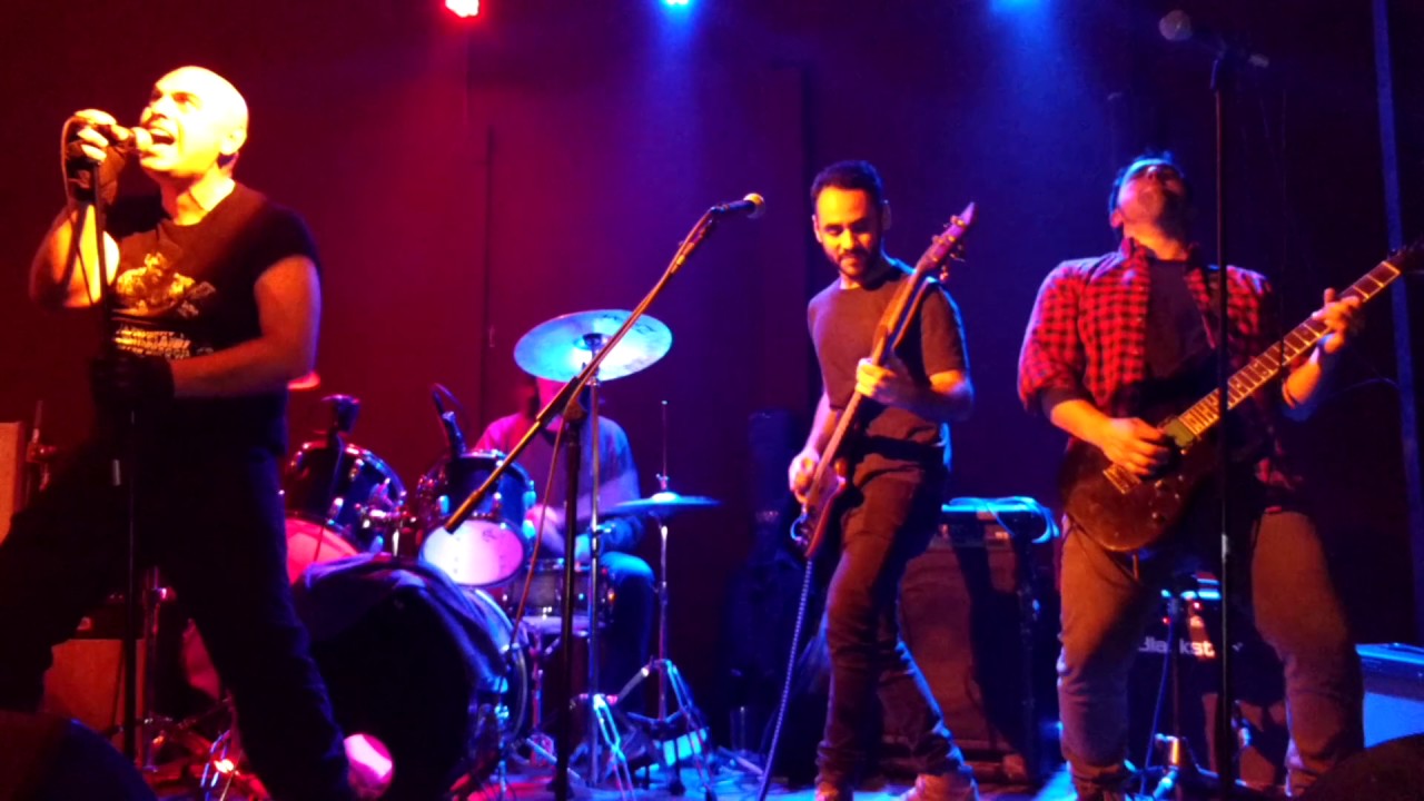 Frogs - DK - YouTube