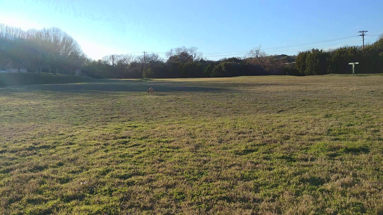 Big Field YouTube