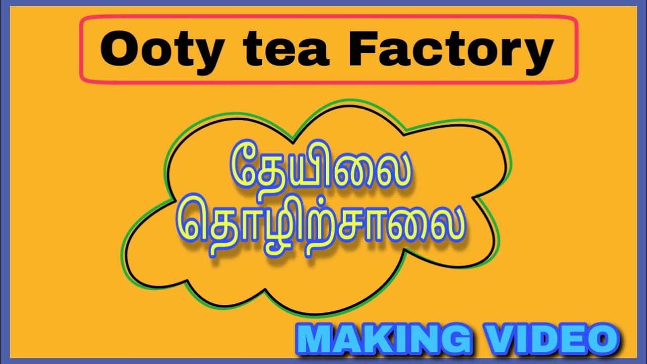 Tea powder making process || Ooty - YouTube