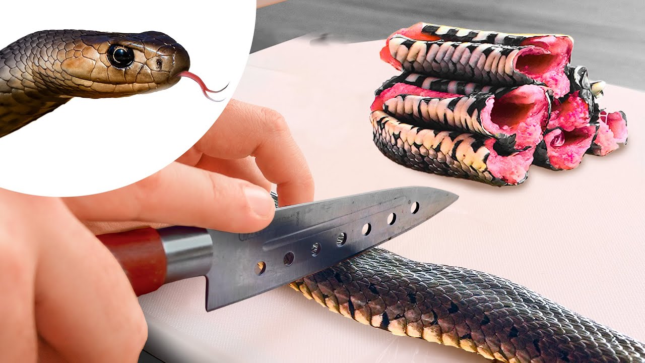 Comida De Rua Japonesa - Sopa De Cobra por VANZAI COZINHANDO - YouTube