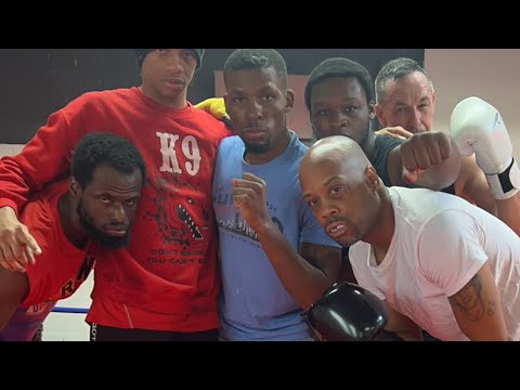 K9 boxing #TeamK9 #K9boxing #Knockouts - YouTube