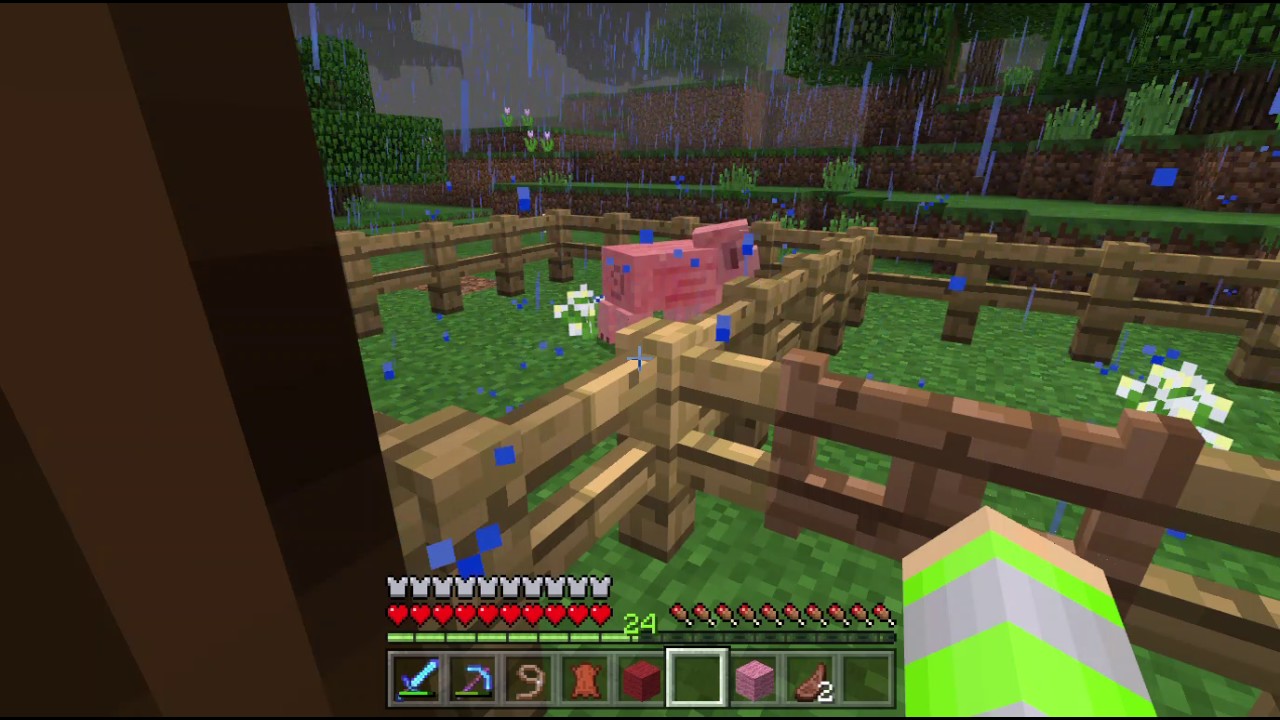 Pig turns into PIgman - YouTube