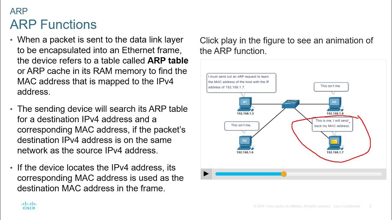 Cisco - CyberOps Associate - Module 08 - Address Resolution Protocol ...