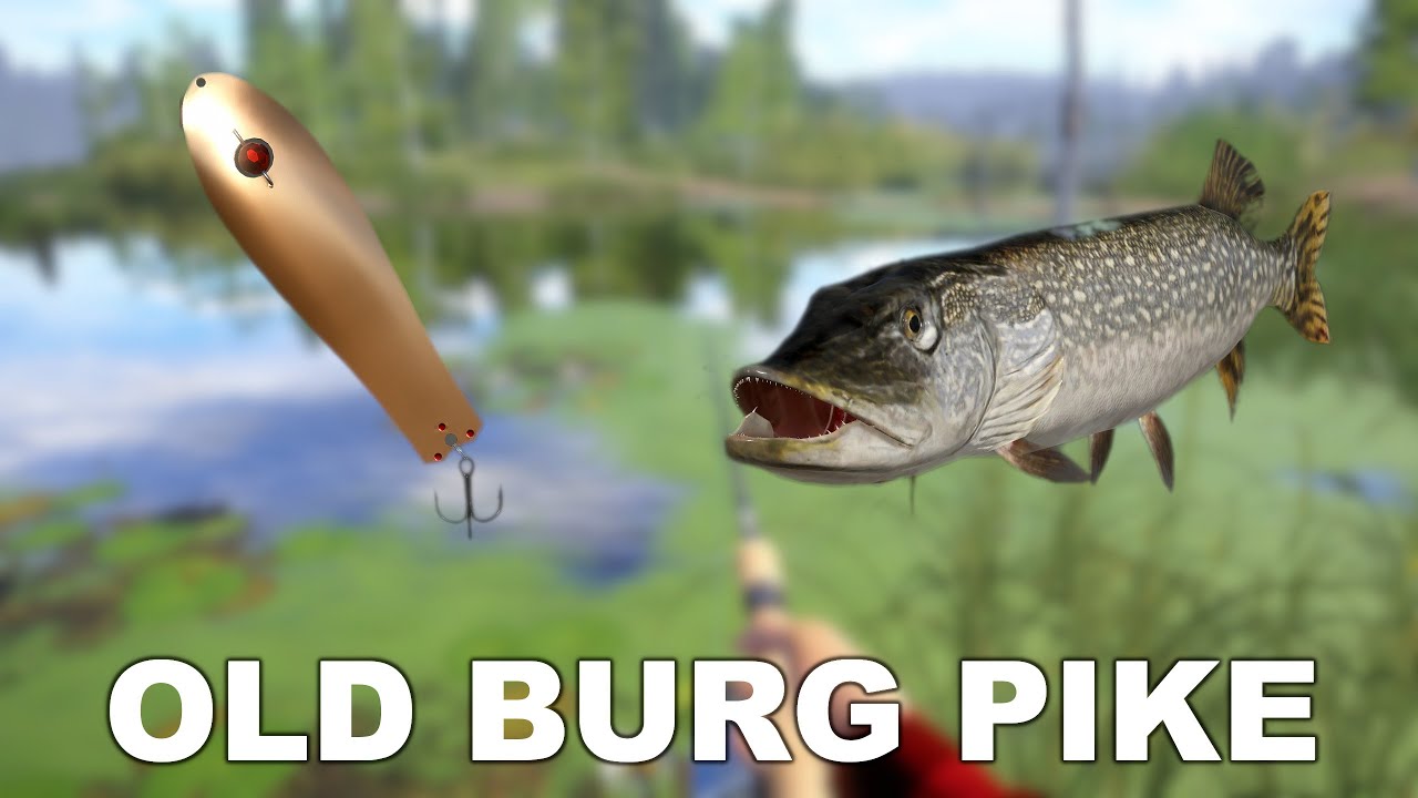 Old Burg - PIKE SZCZUPAK | RF4 SPOT #65 - YouTube