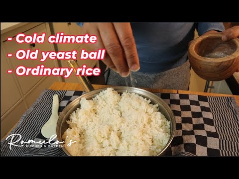Rice Wine Dessert (Binubudan) (jiu niang) - Possible in cold climate ...
