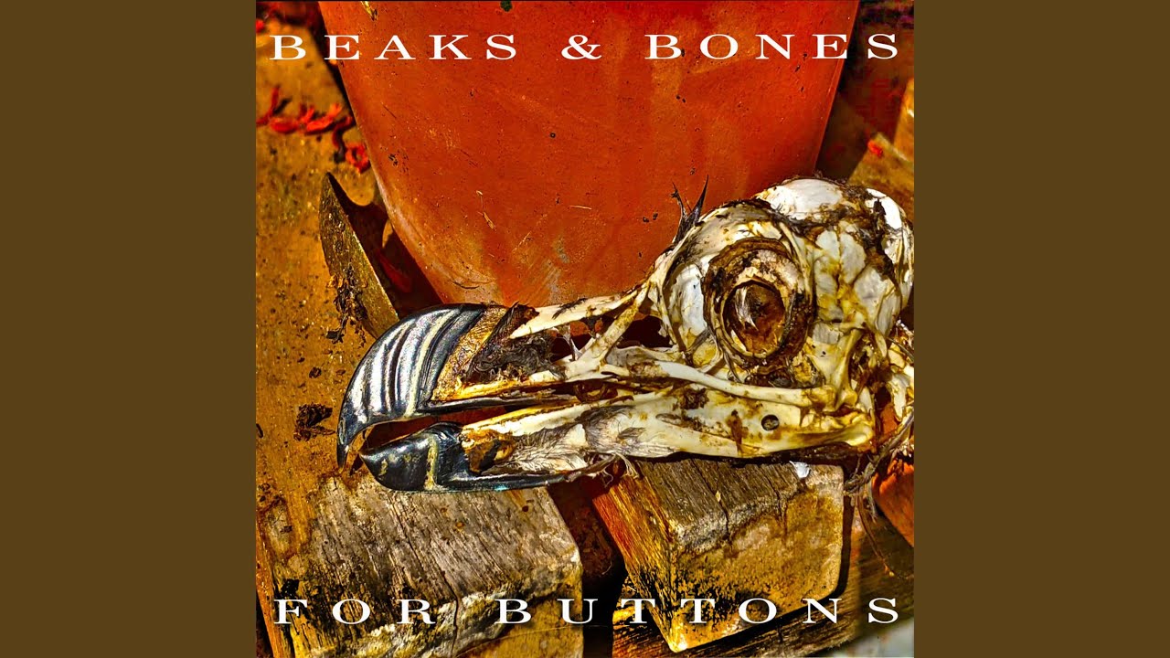 Beaks and Bones for Buttons - YouTube