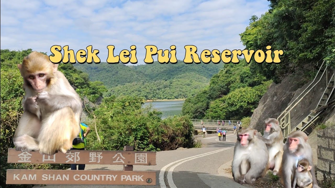 Rute Ke Shek Lei Pui Reservoir Dari Taiwai Stasion // Monkey Park Part ...