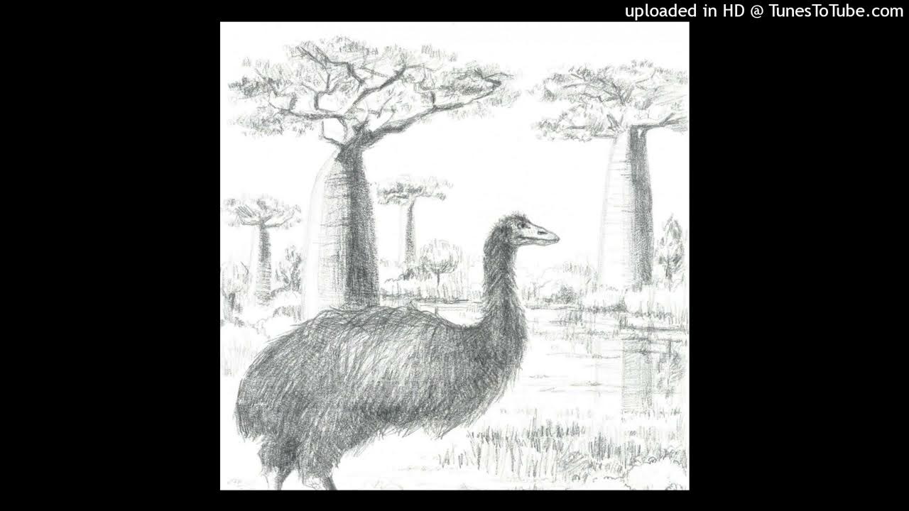 Da Biggest Bird Saint Mercatør X Ezziewtf Slowed Reverb Youtube
