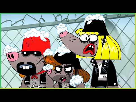 La horde des taupes sauvages | FURIKI | 35' Compilation