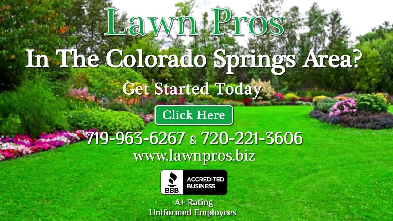 Synthetic Fake Imitation Artificial Grass Installation: Colorado ...