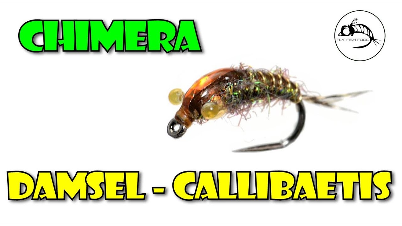 Chimera Damsel Callibaetis by Fly Fish Food - YouTube