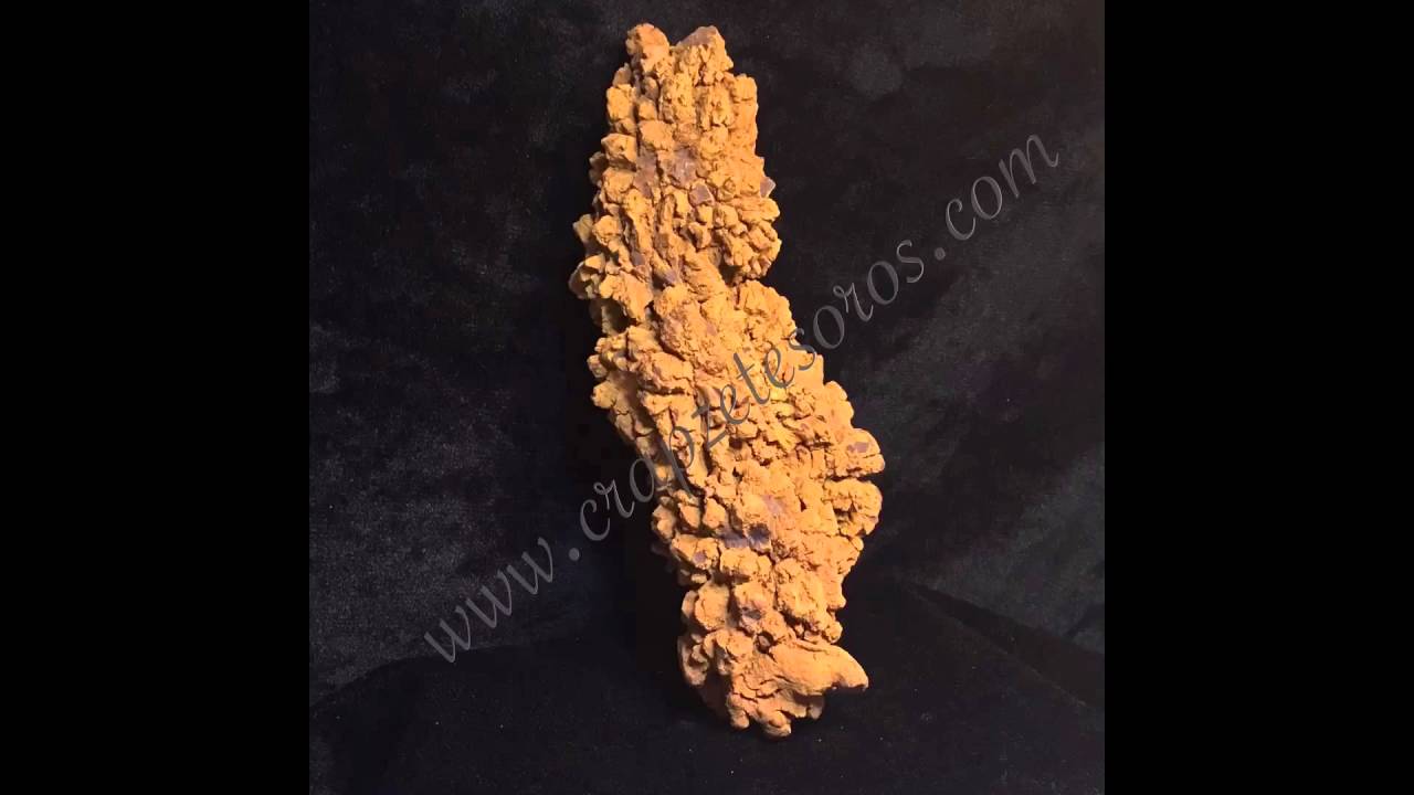 Coprolito, excremento de dinosaurio de Hunan China, del cretácico ...