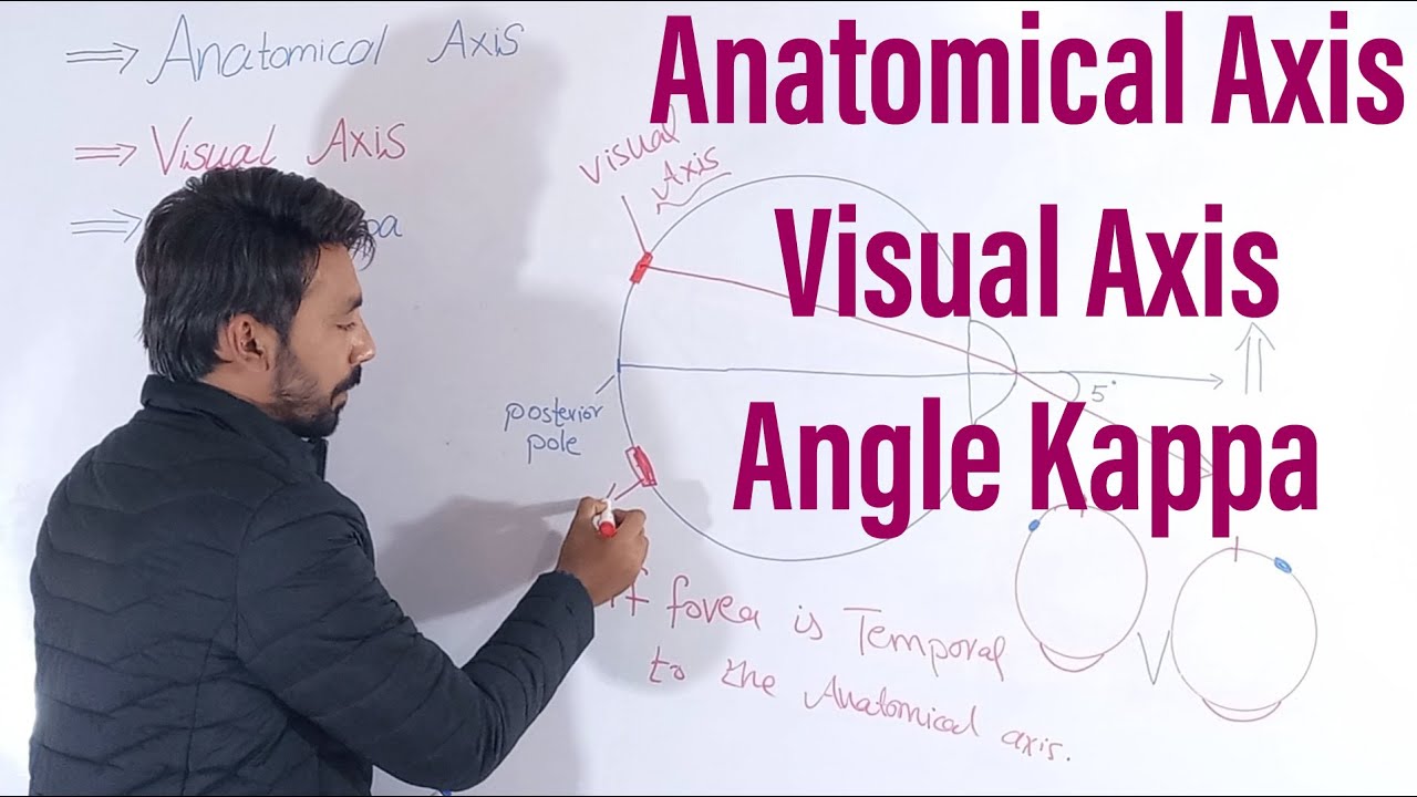 Anatomical Axis, Visual Axis and Angle kappa - YouTube