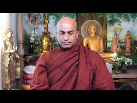 Guided Meditation & Dhamma Talk 05-13-2020 (Morning) - YouTube