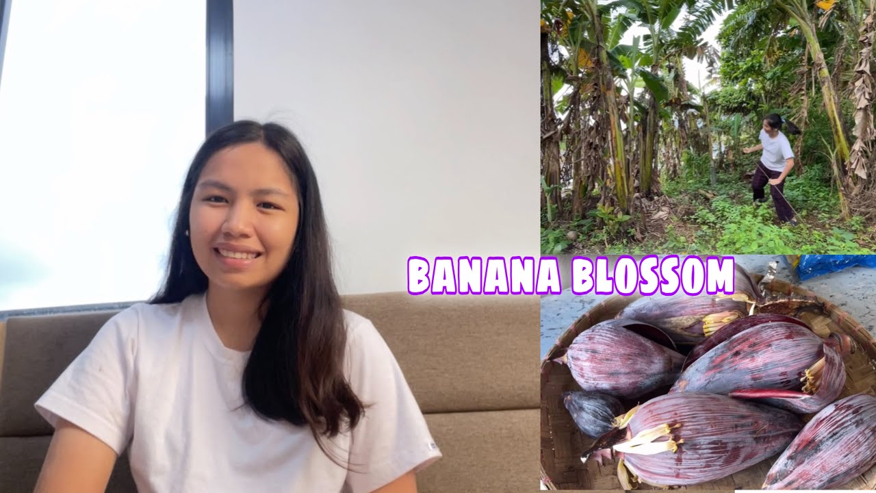 HARVESTING BANANA BLOSSOM | Ginisang puso ng saging | Vlog#187 - YouTube