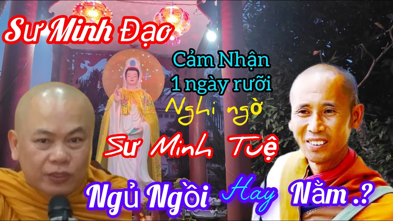 Sư Minh Đạo Đi Hành Khất Một Ngày Rưỡi Hé Lộ Bí Mật Sư Minh Tuệ Ngủ ...