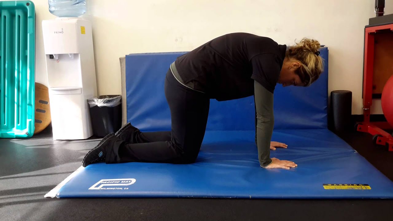 Modified All 4 Belly Lift - YouTube