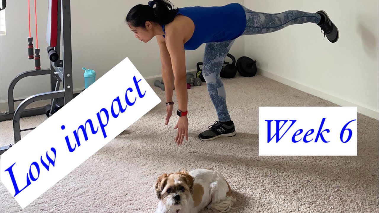 Low Impact with Kayla Week 6 of 2 sweat - YouTube