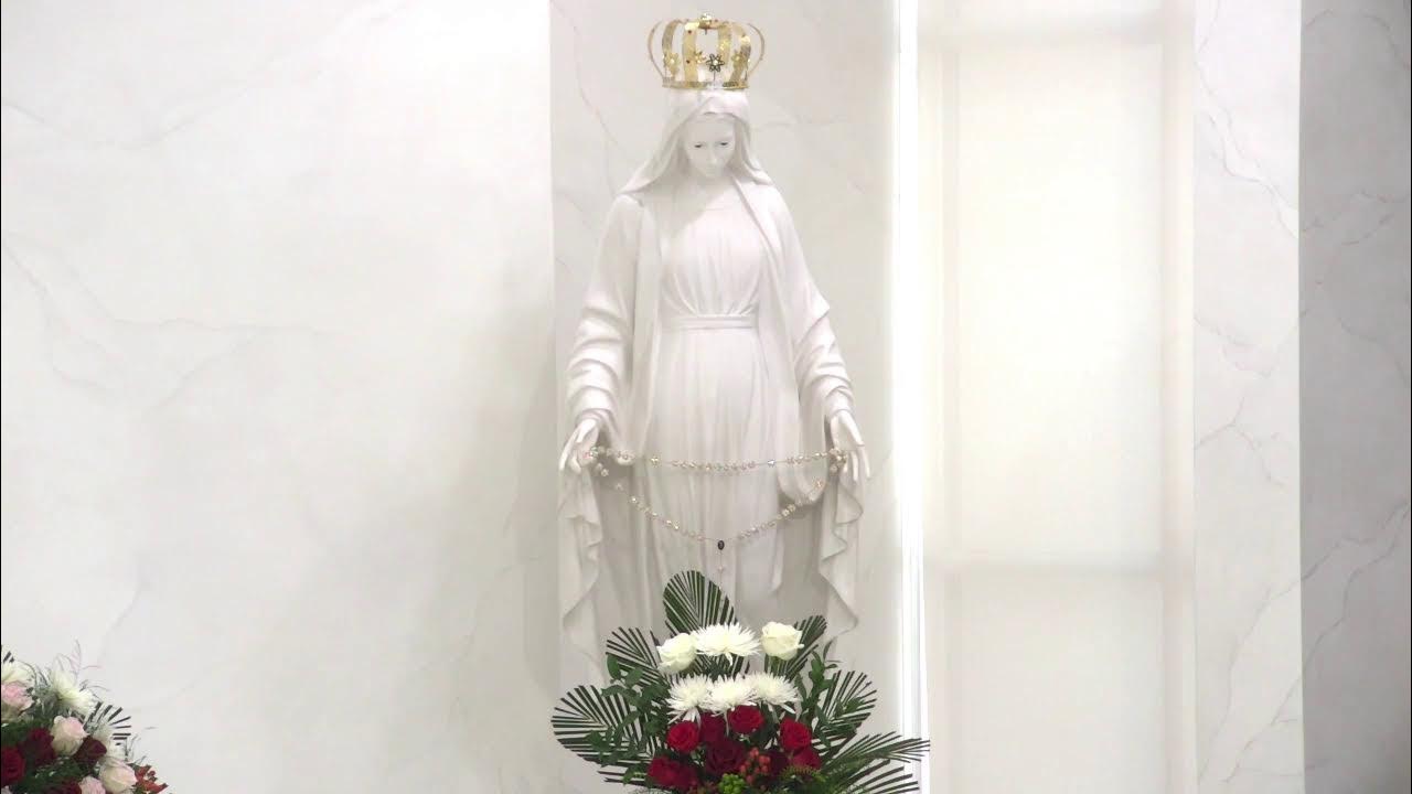 Santa Misa X Domingo Ordinario 7am Youtube