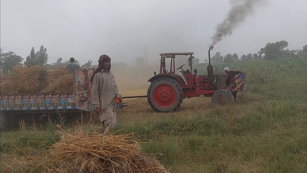 Belarus tractor video||Russi tractor good performance with weat ...