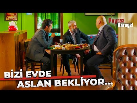 Sefer'den Dişi Aslan Hikayesi - Poyraz Karayel 29. Bölüm