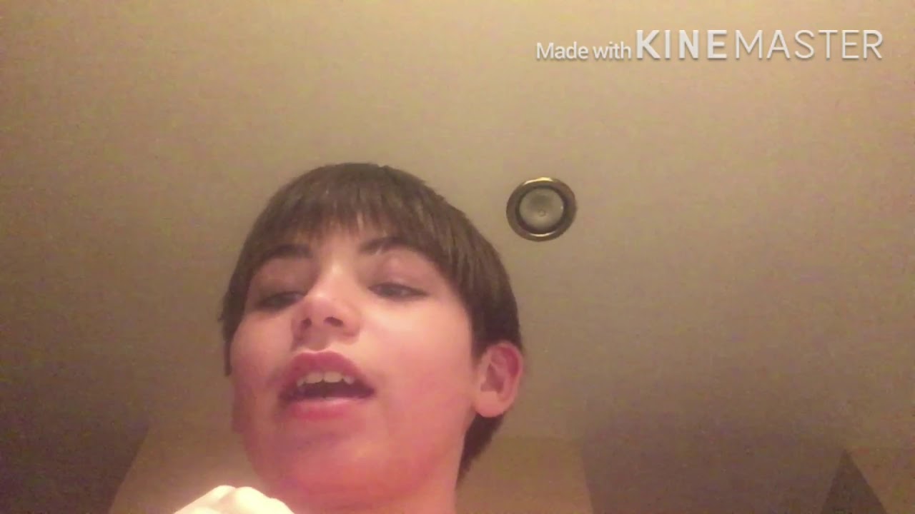 Compass Tonight | Feat. maple the cat - YouTube