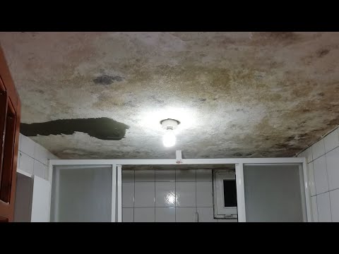 STRAFOR KAPLAMA KÖPÜĞÜ İLE RUTUBETE SON. Ceiling coating